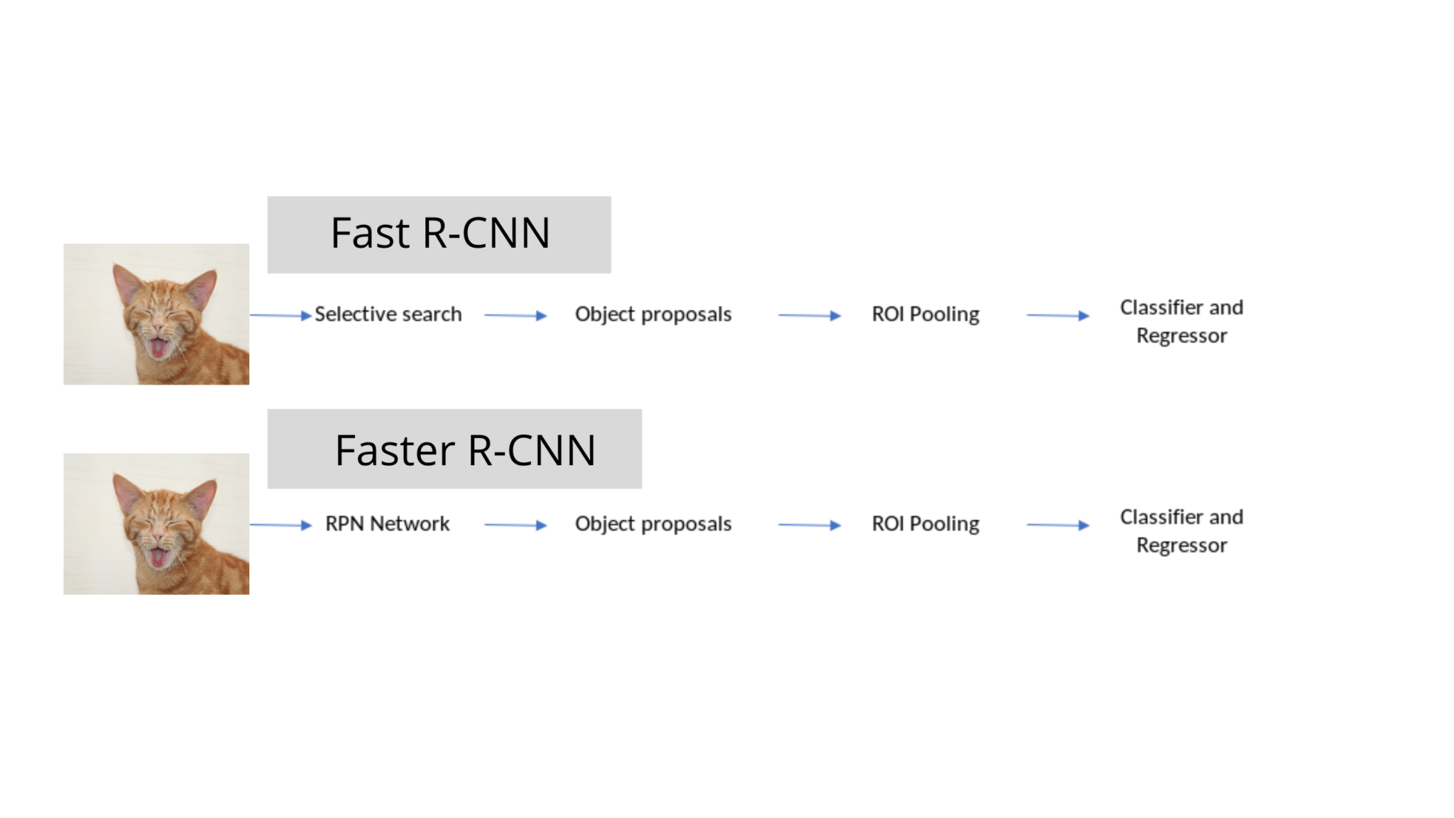 Best Object Detection algorithm (Fast, Faster, RCNN, Yolo) - Aims Creation
